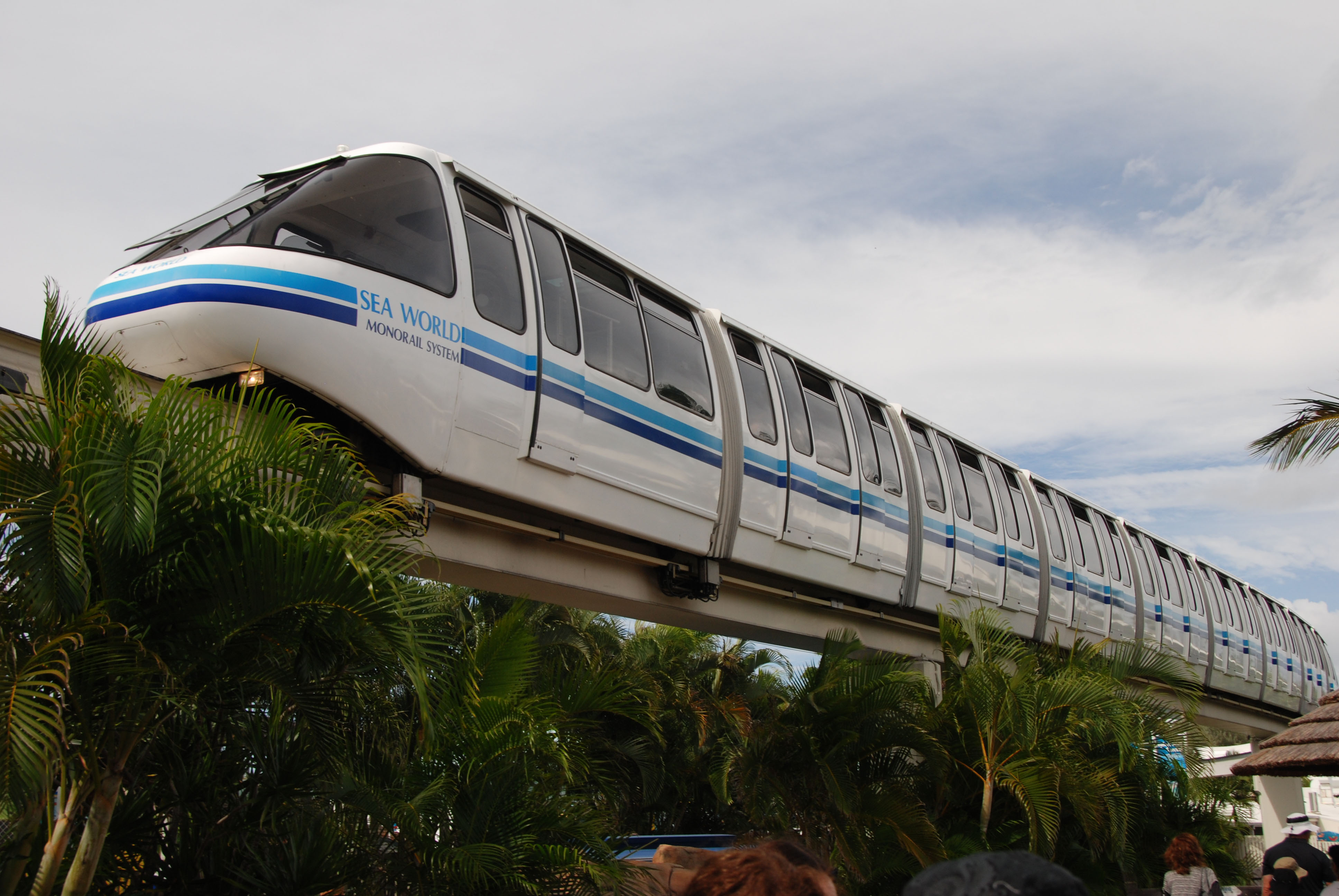 Sea World (Australia) - Photos, Videos, Reviews, Information